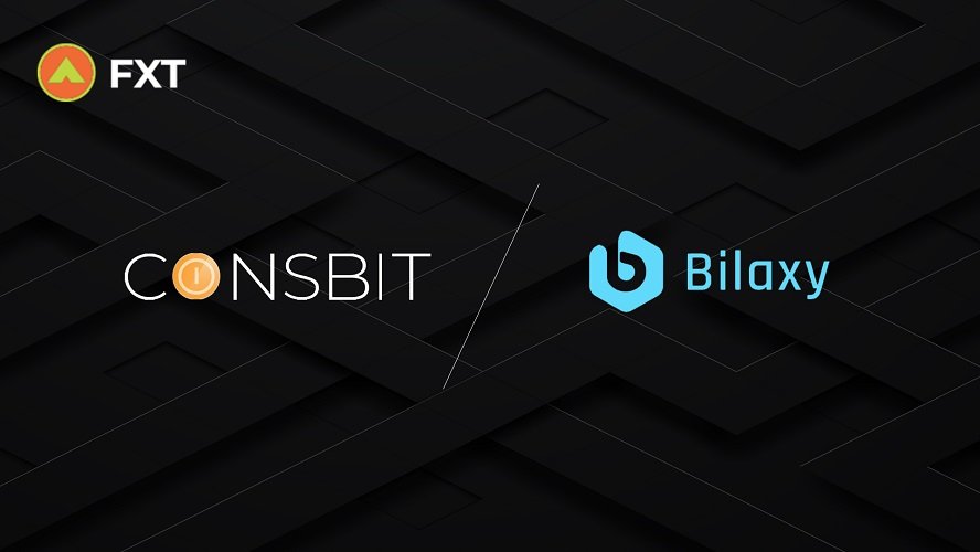 FXT Tokens Listed on Coinsbit and Bilaxy Exchanges