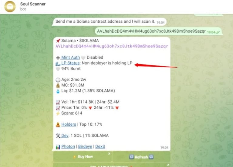 What Does LP Burn In Solana Tokens Mean?